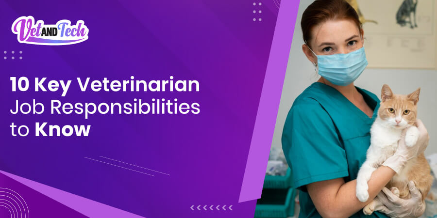 10 Key Veterinarian Job Responsibilities: Duties & Daily Tasks