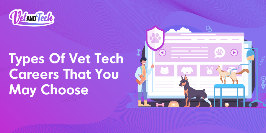 9 Types Of Vet Tech Careers That You May Choose