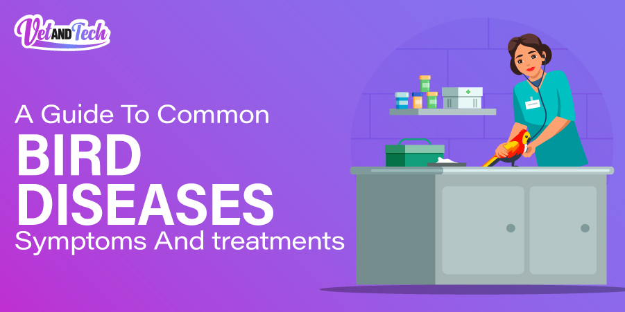 A Guide To Common Bird Diseases–Symptoms And Treatments