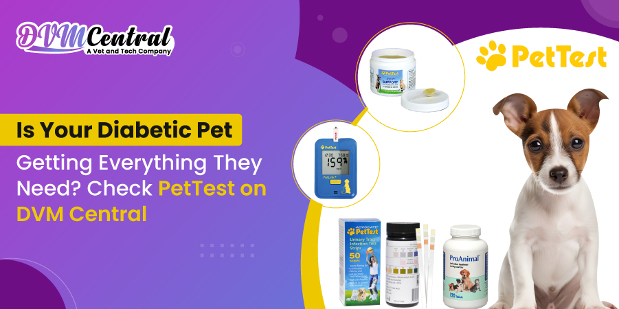 Is Your Diabetic Pet Getting Everything They Need? Check PetTest on DVM ...