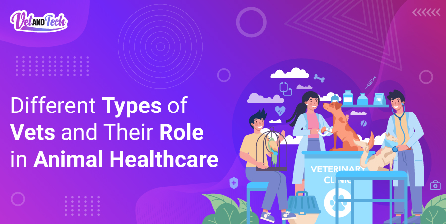 Different Types of Vets and Their Role in Animal Healthcare