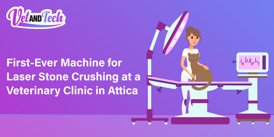 First-Ever Machine for Laser Stone Crushing at a Veterinary Clinic in ...