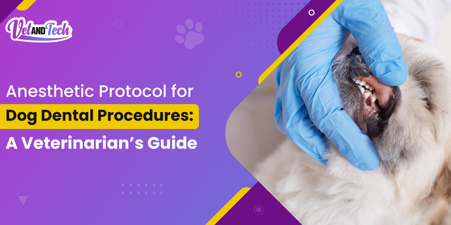 Anesthetic Protocols for Dog Dental Procedures: A Vet’s Guide