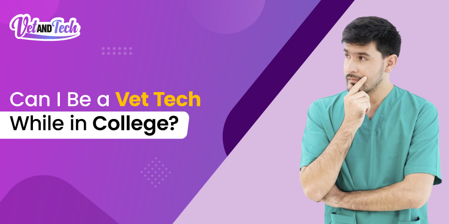 Can I Be a Vet Tech While in College? Steps to Get Started