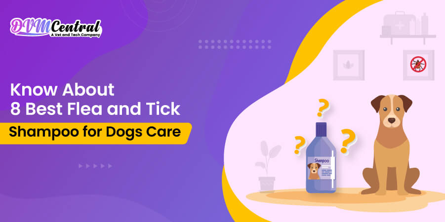 What's the Best Flea and Tick Shampoo for Dogs? Find Out Now!