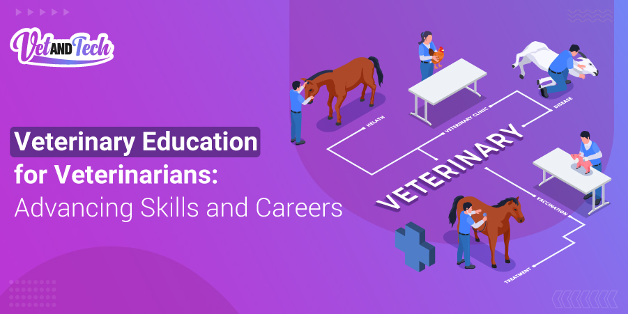 Veterinary Education for Veterinarians | Skills and Careers