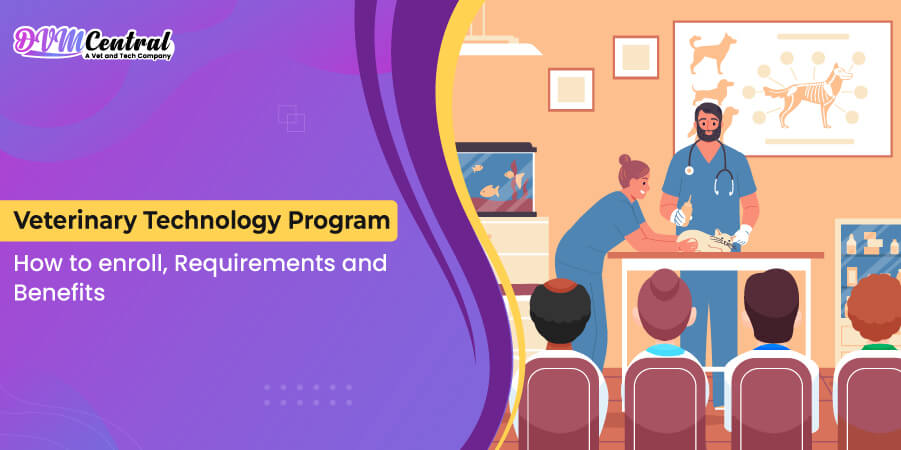 Veterinary Technology Program: Guide to Enrollment & Benefits