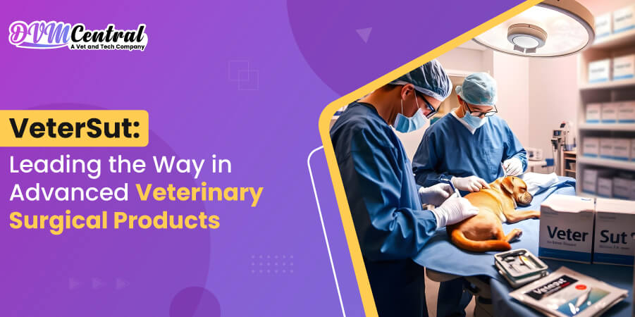 Looking for High-Quality Surgical Solutions for Veterinarians?