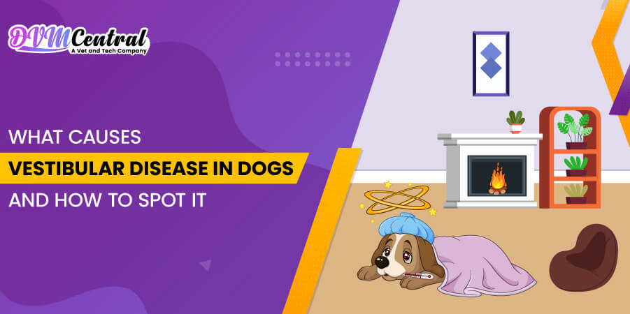 What Causes Vestibular Disease in Dogs and How to Spot It