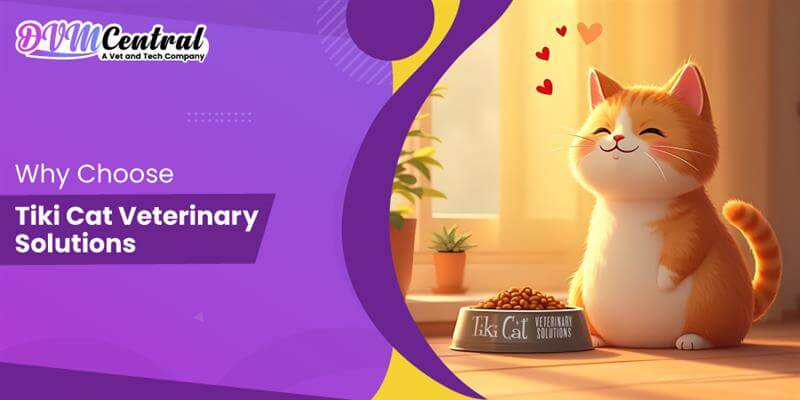 Can Tiki Cat® Help Your Cat Overcome Diet-Responsive Diseases?
