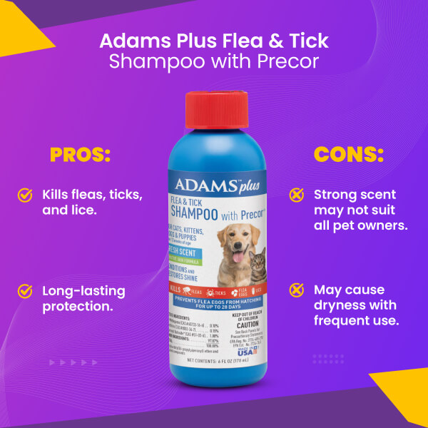 What's the Best Flea and Tick Shampoo for Dogs? Find Out Now!