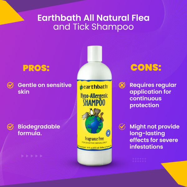 What's the Best Flea and Tick Shampoo for Dogs? Find Out Now!