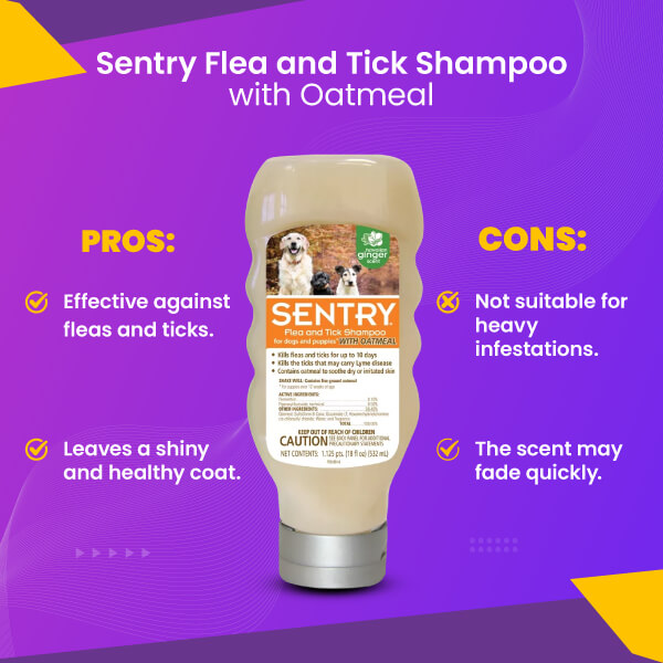 What's the Best Flea and Tick Shampoo for Dogs? Find Out Now!