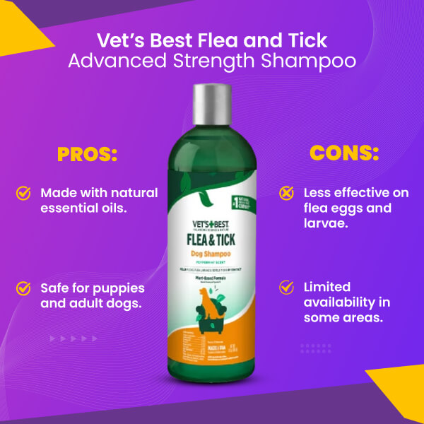 What's the Best Flea and Tick Shampoo for Dogs? Find Out Now!
