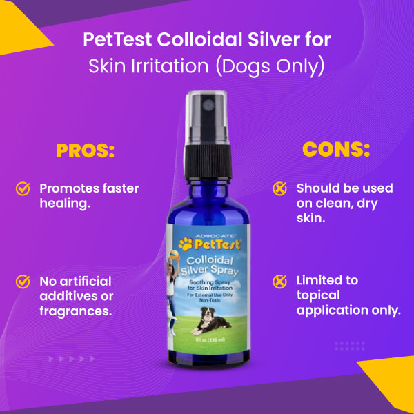 What Is the Best Anti-Itch Medicine for Dogs?