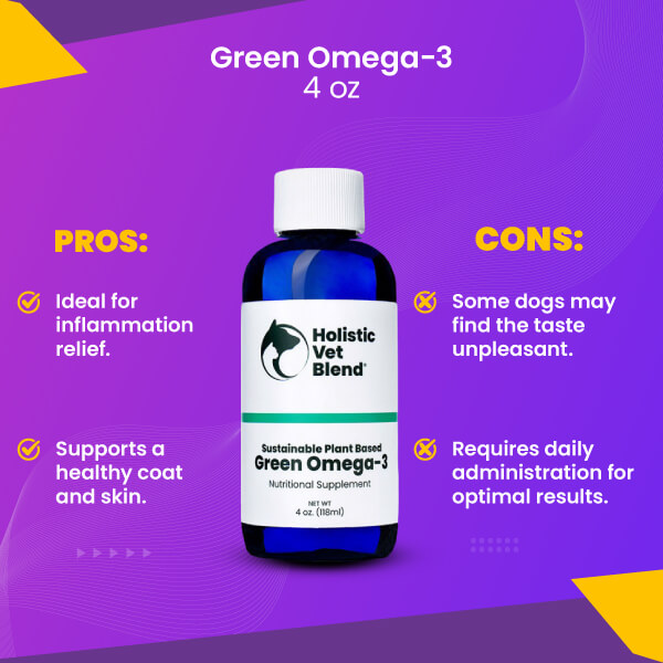 What Is the Best Anti-Itch Medicine for Dogs?