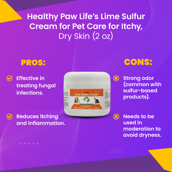What Is the Best Anti-Itch Medicine for Dogs?