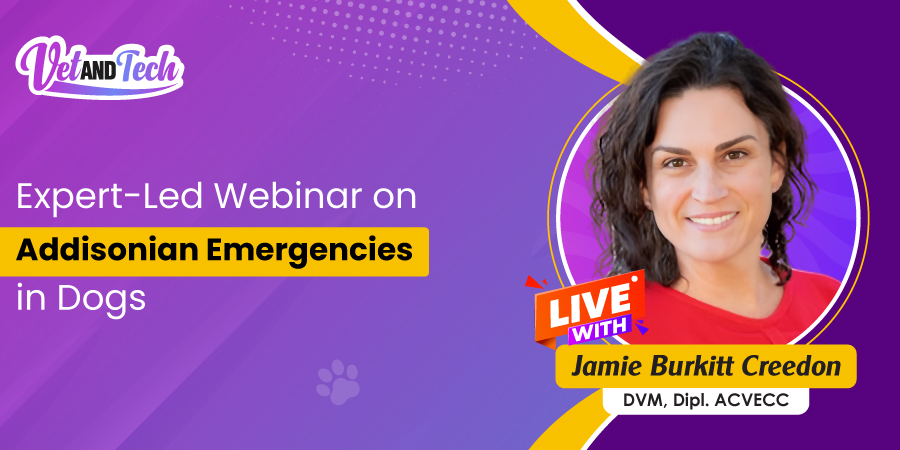 Free Veterinary CE Webinar on Addisonian Crisis in Dogs