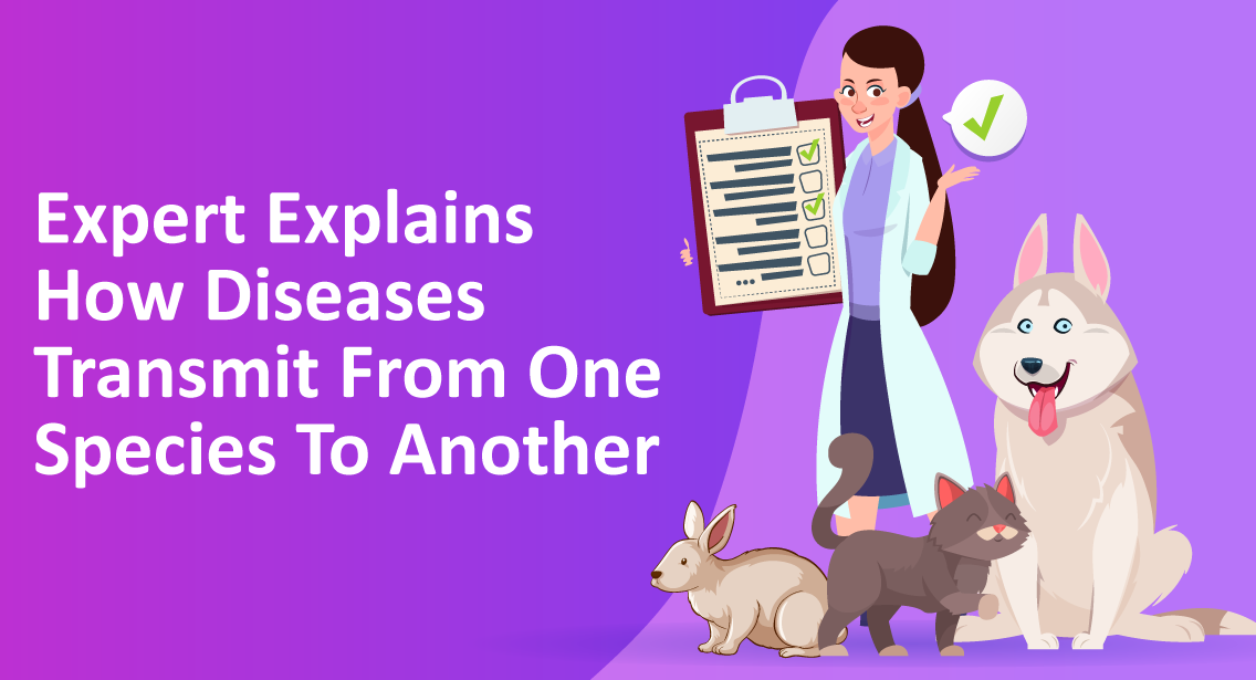 Expert Explains how diseases transmit from one species to another