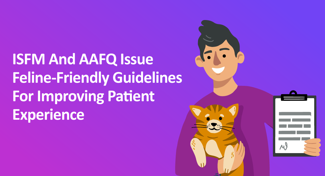 ISFM And AAFQ Issue Feline-Friendly Guidelines For Improving Patient ...