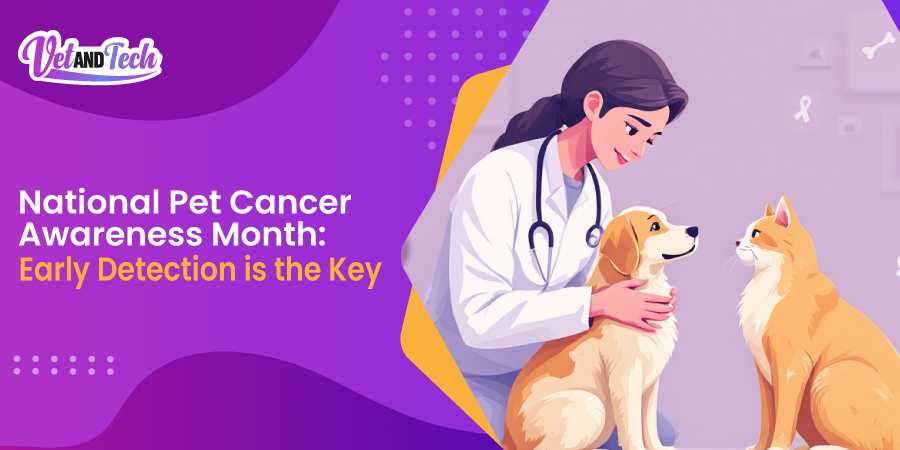 National Pet Cancer Awareness Month: Early Detection for Pet Health