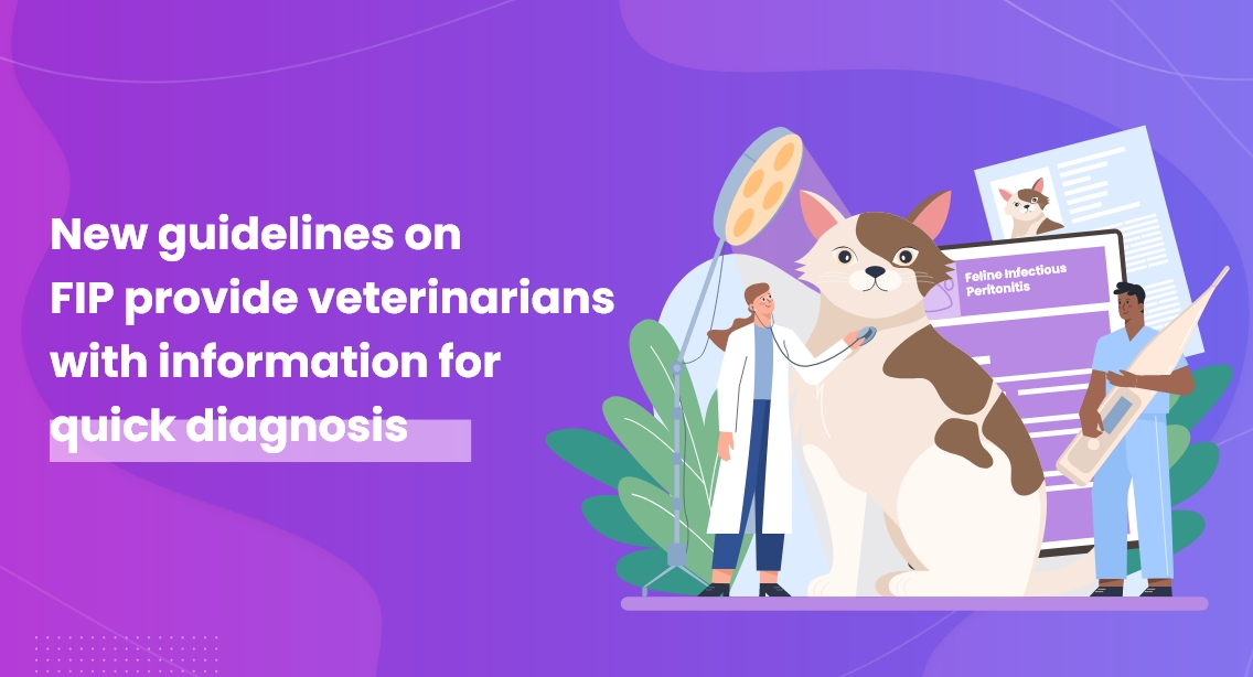 New guidelines on FIP provide veterinarians with information for quick ...