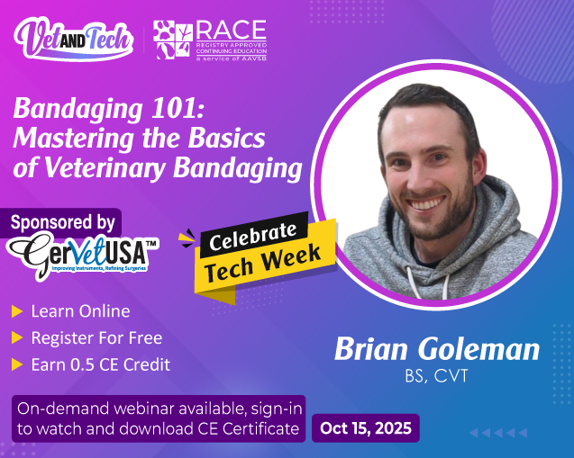 Veterinary Bandaging Basics | Free CE Webinar for Vet Techs